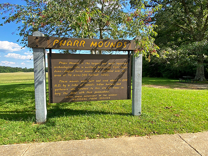 Ancient history stands quietly at Pharr Mounds, where 2,000 years ago, someone's ancestors created these earthen monuments without a single bulldozer in sight.
