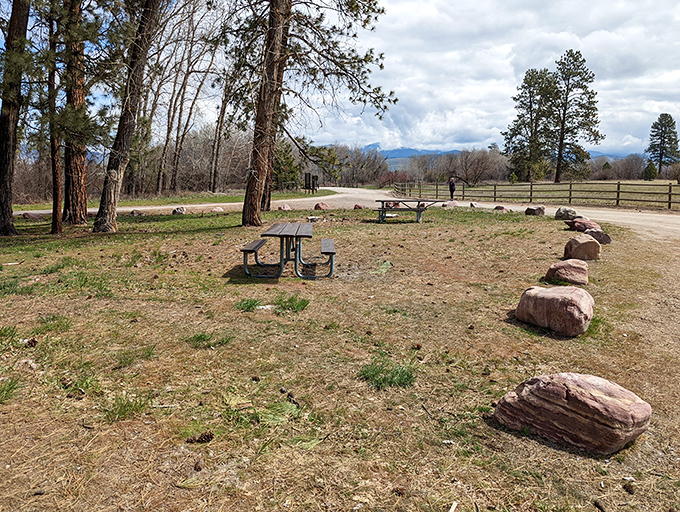Simple pleasures in extraordinary settings. These picnic tables have hosted more meaningful conversations than most therapists' offices.