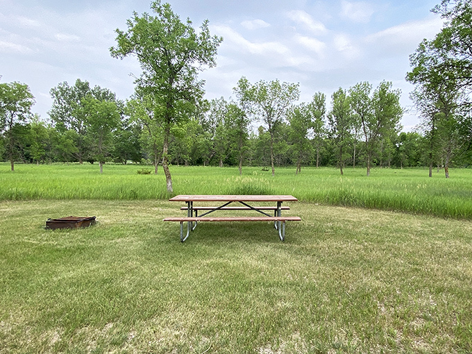 Sometimes the best five-star dining room is under an endless sky. This picnic spot offers serenity with a side of birdsong.
