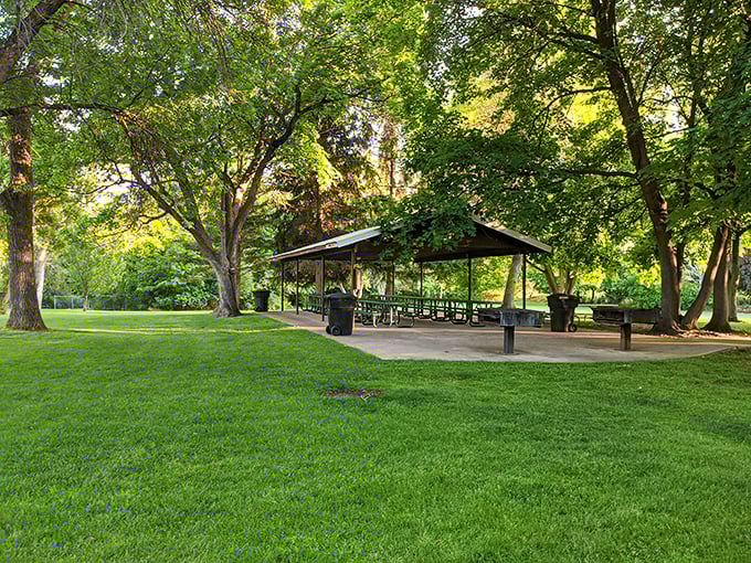 River Hollow Park's picnic pavilion beckons with the promise of family gatherings where three generations can debate the merits of potato salad recipes.