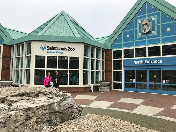 The Saint Louis Zoo entrance welcomes visitors with bright colors and friendly design. World-class wildlife encounters await, and somehow it won't cost you a penny.