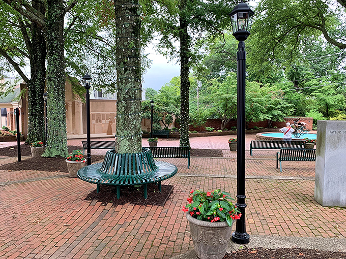 Taylor Park's circular tree benches invite you to sit a spell, as Southerners say, under a canopy of leaves that whisper local gossip.