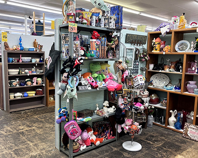 One person's castoffs, another's collectibles. This colorful corner showcases the delightful randomness that makes thrifting an adventure rather than just shopping.