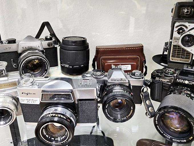 Vintage camera enthusiasts, rejoice! These Yashica, Minolta, and Fujica beauties aren't just collectibles—they're history you can hold.