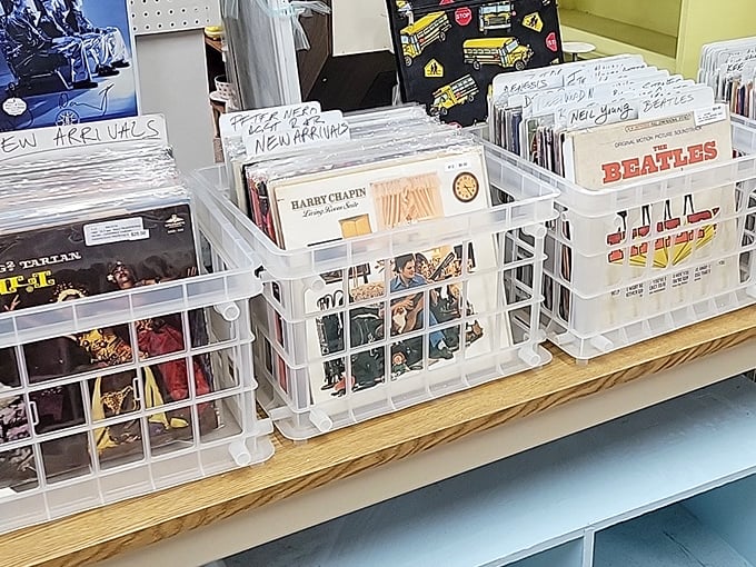 Vinyl enthusiasts, rejoice! From Beatles classics to Harry Chapin gems, these crates hold the soundtrack to memories you didn't know you missed.