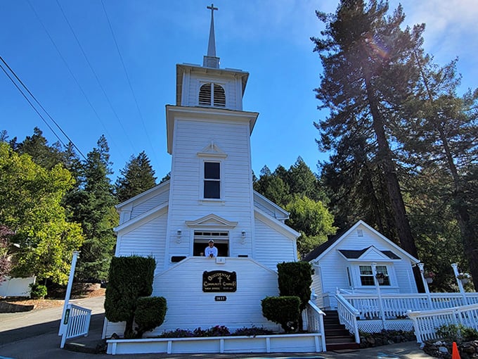 The white clapboard Occidental Community Church reaches skyward, its steeple a beacon of tranquility among the towering redwoods.