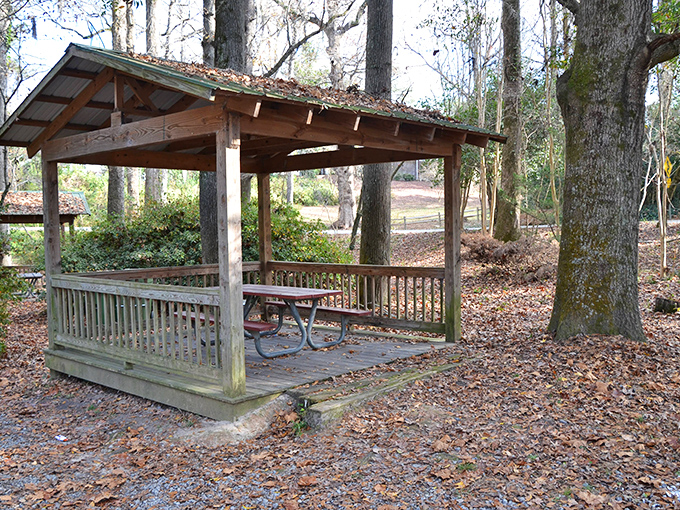 A rustic picnic shelter in Williamson Park invites you to pause, unplug, and remember when "social networking" meant actually talking to the person next to you.