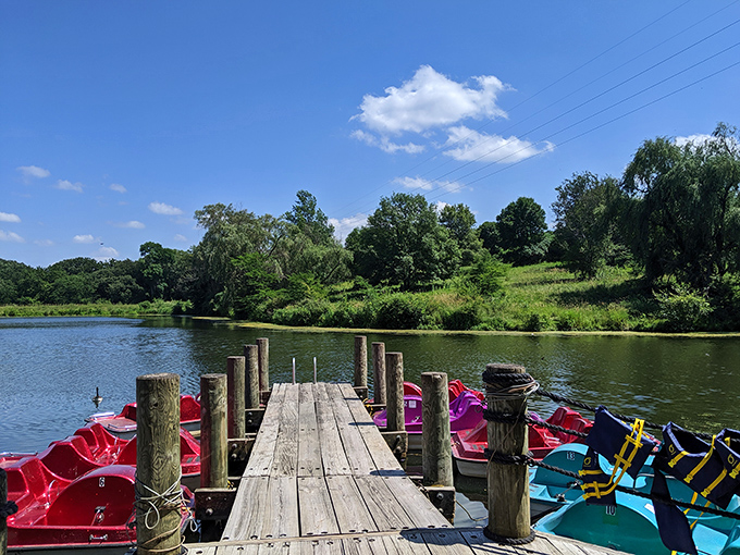 A wooden dock lined with colorful paddle boats promises adventures that even your smartphone-addicted teenager might enjoy.