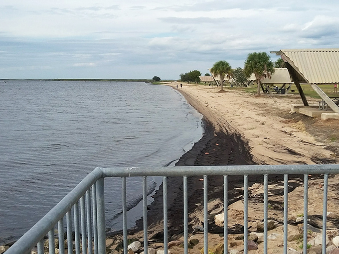 The quintessential Louisiana beach day doesn't require Caribbean-clear waters – just this golden-brown shoreline where pelicans dive and worries evaporate.