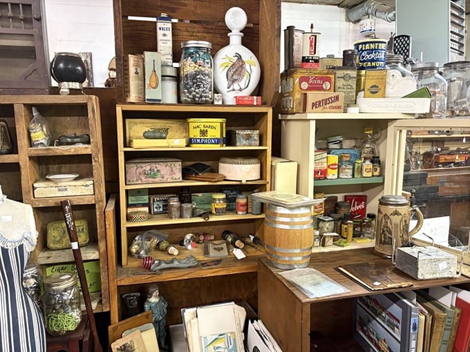 Vintage tins and antique containers tell stories from another era. Each shelf holds memories waiting to be adopted into new homes.