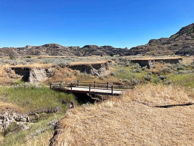 Crossing over into another time. This simple bridge connects modern visitors to landscapes that dinosaurs once called home.