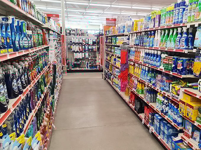 The cleaning supply aisle &ndash; where desert dwellers find salvation from dust storms and tourists discover forgotten essentials for their Mojave adventures.