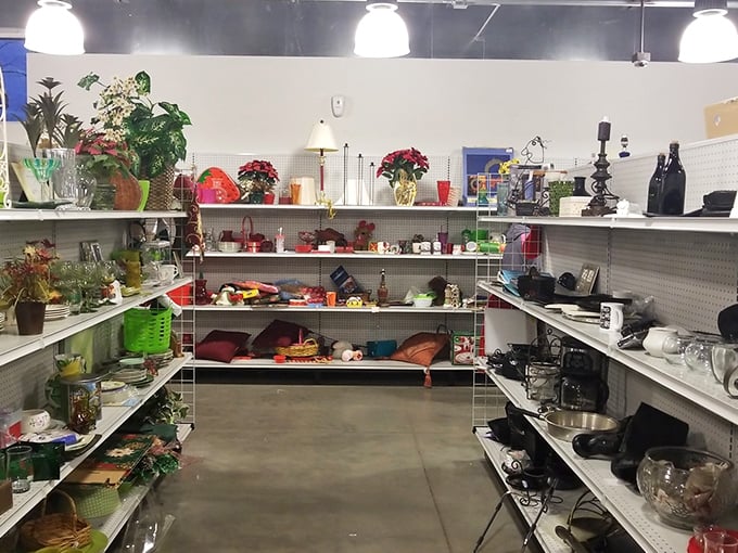 Organized chaos at its finest&mdash;shelves brimming with yesterday's treasures waiting for tomorrow's homes. One person's decluttering is another's decorating spree.