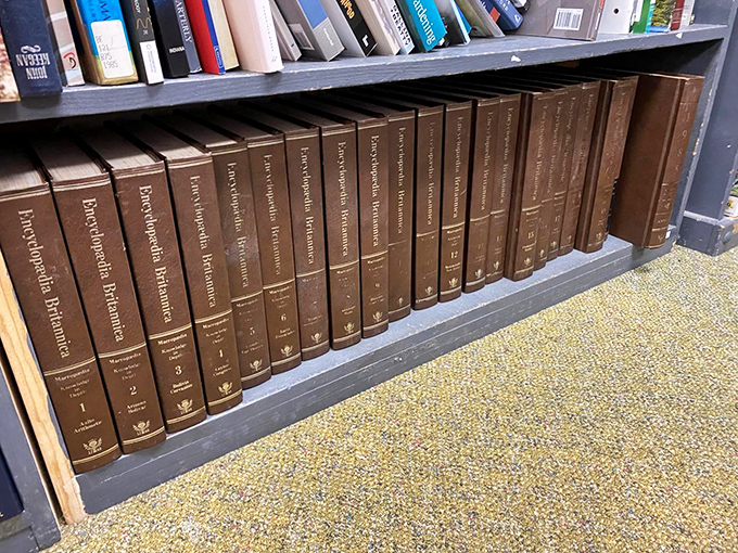 Knowledge by the yard! These encyclopedias hold the pre-Google wisdom of generations, waiting for curious minds or stylish bookshelves.