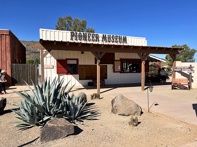 Desert meets history at the museum entrance, where agave plants stand guard like spiky bouncers to Arizona's past. No reservation needed for this time machine.