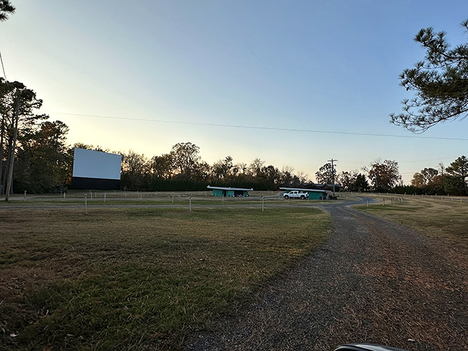 Empty during daylight, this field transforms into a community living room when the sun sets and the projector flickers to life.