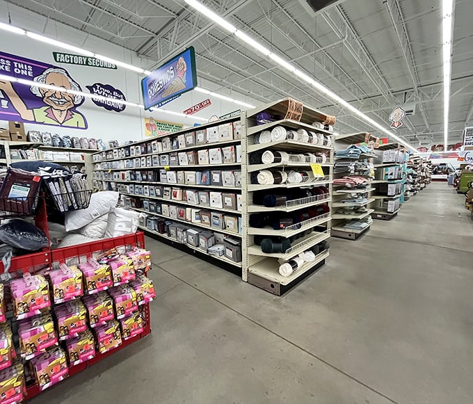 Aisle after glorious aisle of organized chaos, where household treasures and unexpected finds await the patient explorer. Retail archaeology at its finest!