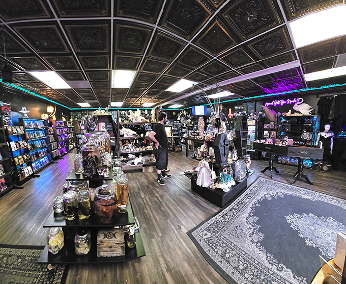 Step inside and the real magic begins&mdash;ornate ceiling tiles, moody lighting, and displays that transform shopping into a cabinet of curiosities exploration.