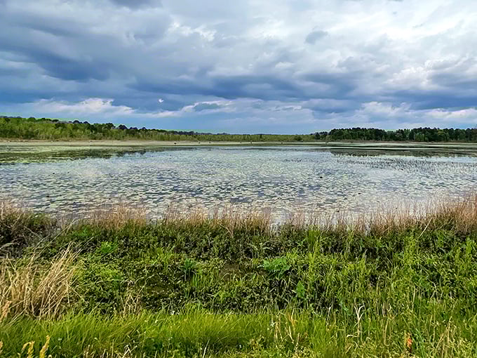 Lake Paul Wallace offers a mirror to the sky, where clouds come to admire themselves and fishermen come to test their patience.