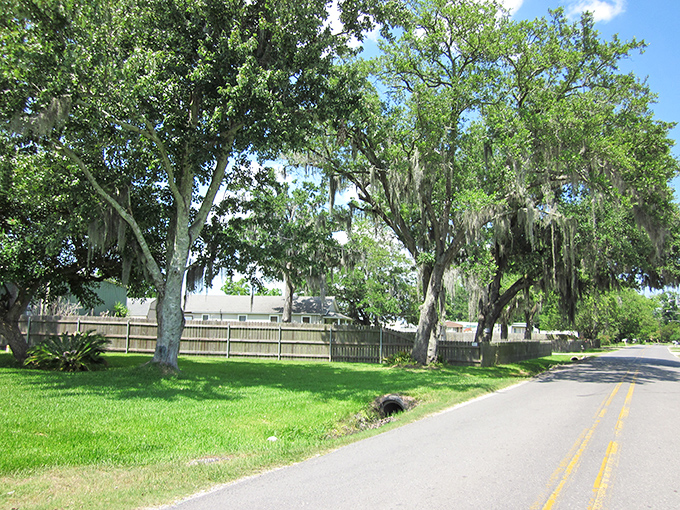 Spanish moss dangles from ancient oaks like nature's own retirement banners saying, "Slow down, you've earned this pace of life."