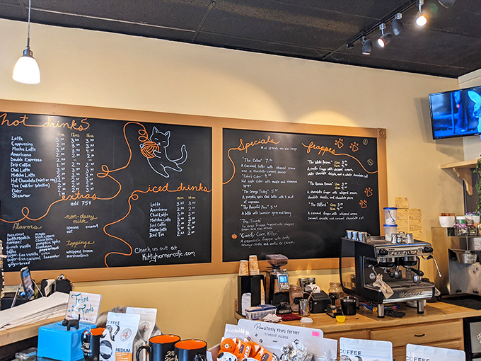 The chalkboard menu features playful cat silhouettes outlining drink options, with orange paw prints marking customer favorites.