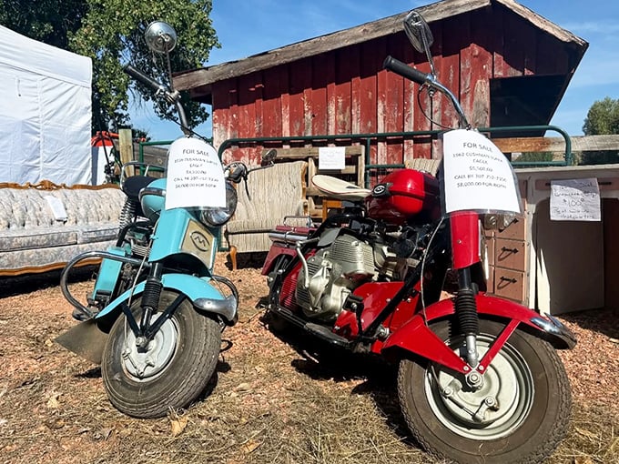 Vintage motorcycles that tell stories of open roads and wild adventures. These mechanical beauties aren't just transportation&mdash;they're time machines with handlebars.