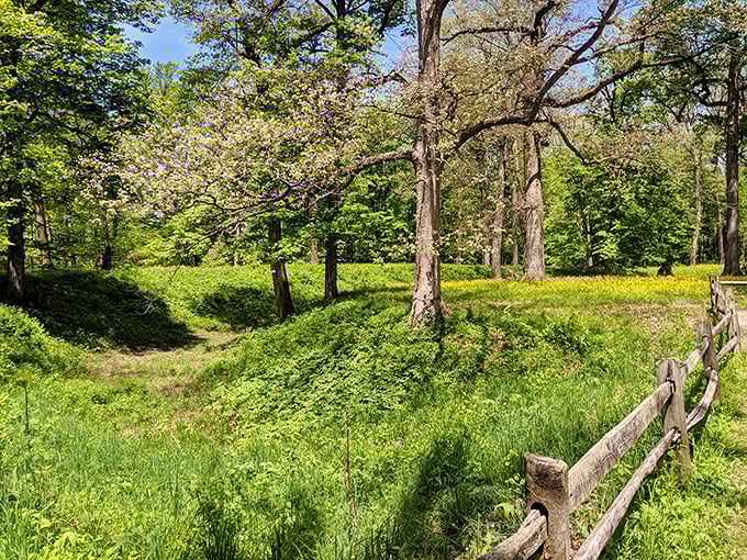 Ancient earthworks that have witnessed two millennia of seasons. These gentle slopes hold secrets of astronomical precision that would impress even Neil deGrasse Tyson.