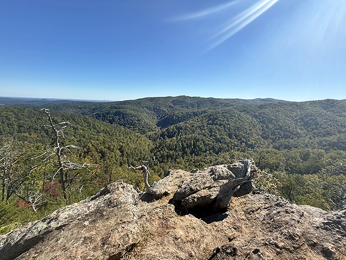This view from Chestnut Knob makes office cubicles seem like a distant bad dream. Worth every step of the climb.