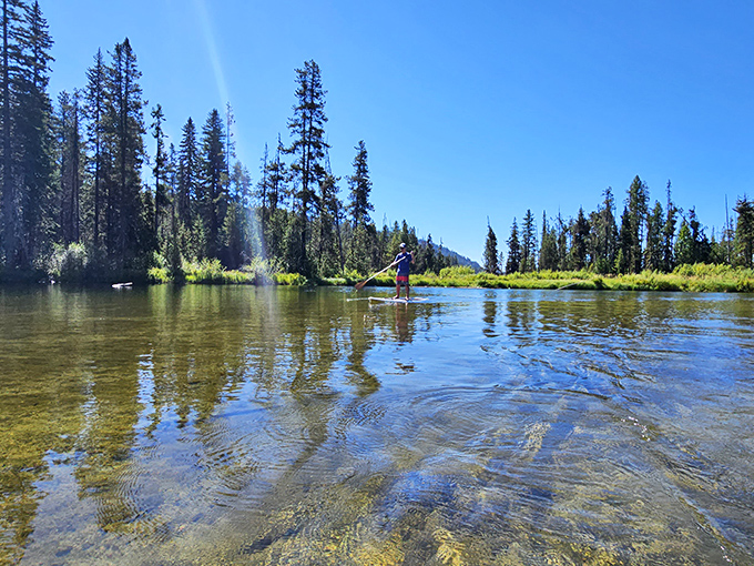 Paddleboarding: where you can simultaneously work your core and pretend you're walking on water. Biblical, with better views.