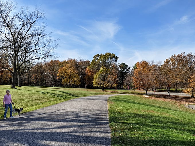 Fall's golden hour transforms ordinary walking paths into memory lanes, where even a simple dog walk becomes postcard-worthy.