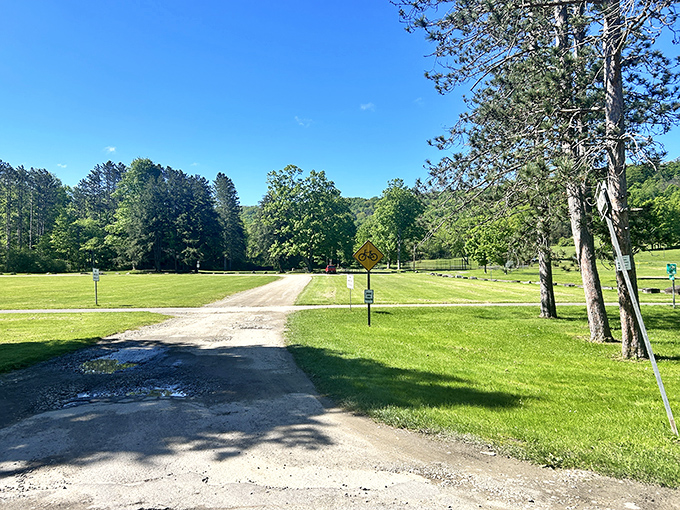 Wide open spaces that whisper "slow down." This perfectly maintained park road leads to adventures that won't show up in your email notifications.