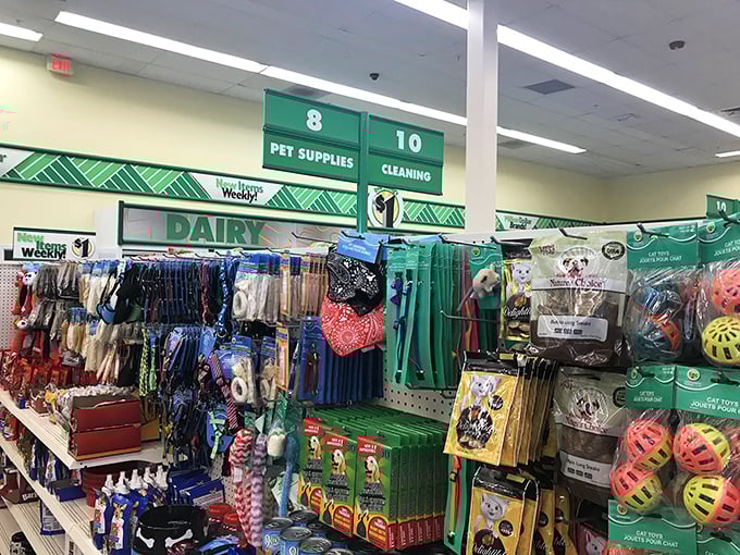 The pet section proves Fido doesn't need designer accessories to feel loved&mdash;colorful toys and essentials await at prices that'll have tails wagging.