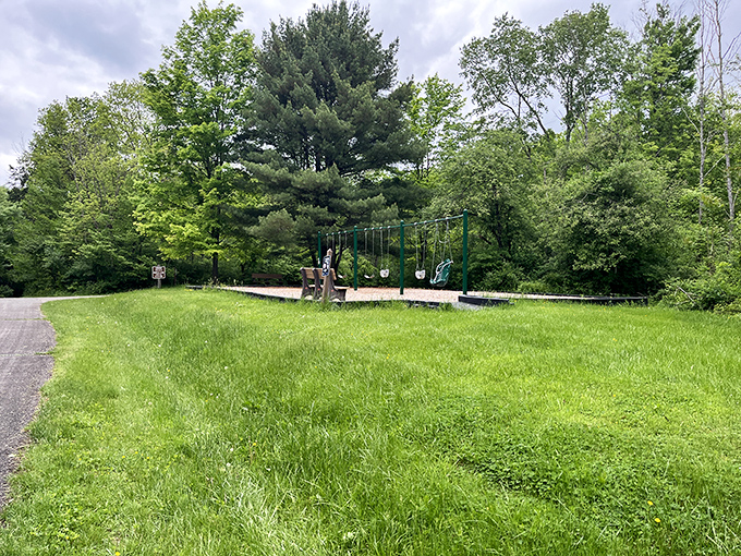 A playground nestled among towering pines&mdash;where kids burn energy while parents secretly envy their boundless enthusiasm.