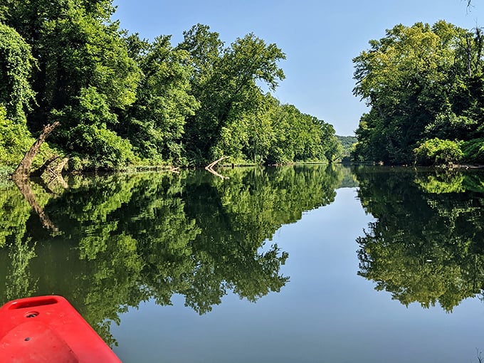 Gliding along the glassy surface of the Big River offers a front-row seat to nature's greatest show&mdash;no tickets required, just bring your sense of wonder.