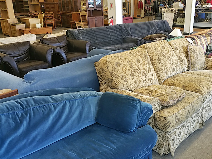 From plaid to paisley, this couch collection offers more seating options than a furniture showroom at a tenth of the cost.