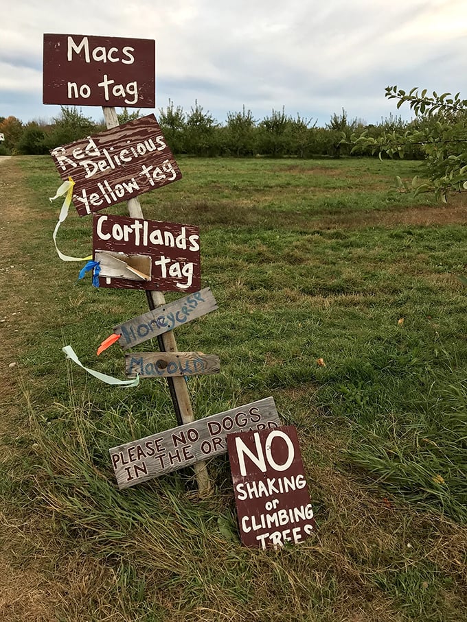 The orchard's charming navigation system tells you everything you need to know. No GPS required&mdash;just follow your nose to the Cortlands!