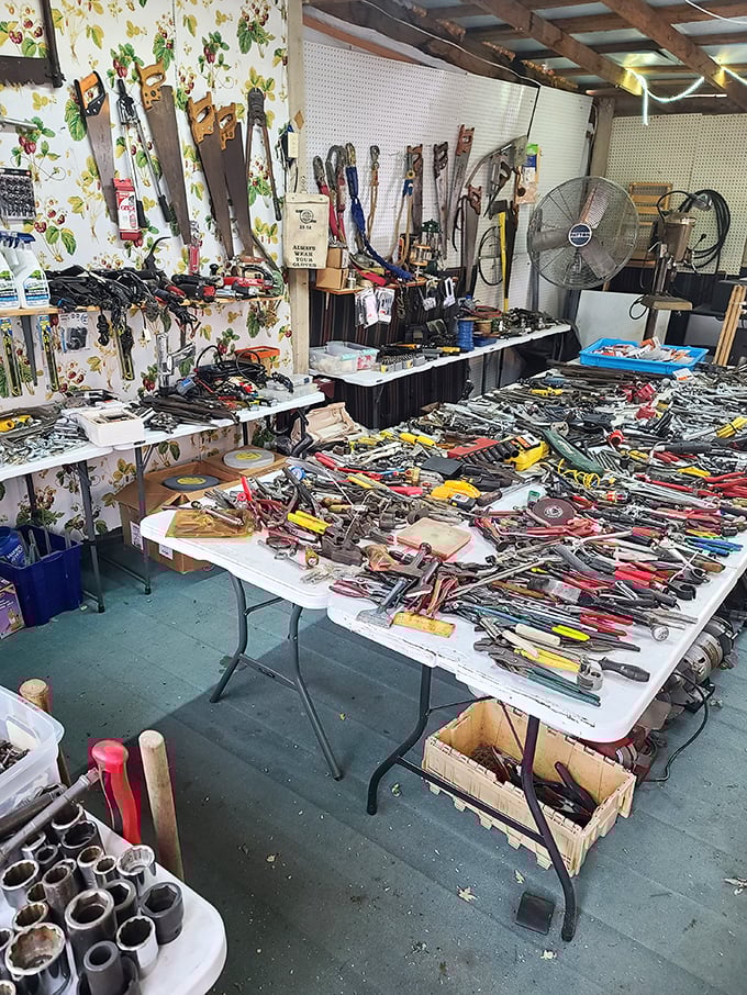 Tool heaven for the handy and hopeful alike. Somewhere in this magnificent chaos is the exact wrench your grandfather swore was "the only one worth buying."
