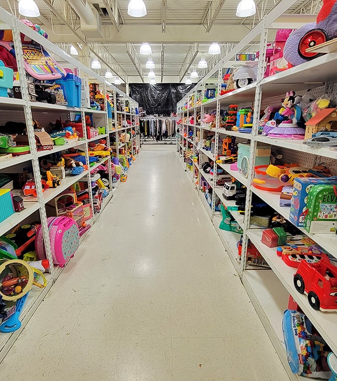 Toy paradise! Like Willy Wonka's factory but for parents who don't want to refinance their home just to keep the kids entertained.