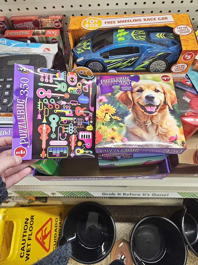 Who knew affordable joy came in puzzle form? These colorful brain-teasers prove entertainment doesn't need a streaming subscription to deliver satisfaction.