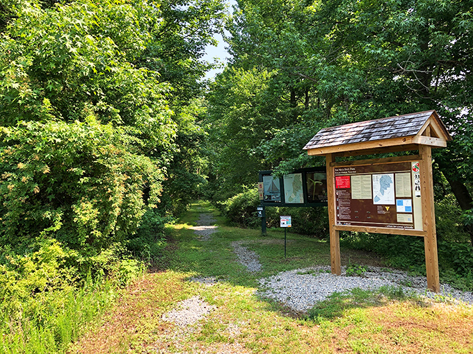 Every great adventure begins with a trail marker. This wooden signpost promises wilderness wonders just beyond the tree line.