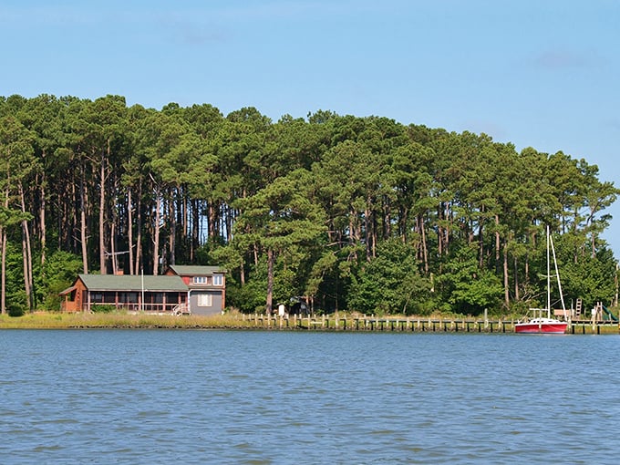 Waterfront cabins nestled among towering pines &ndash; the kind of view that makes you wonder why you ever thought city living was a good idea.