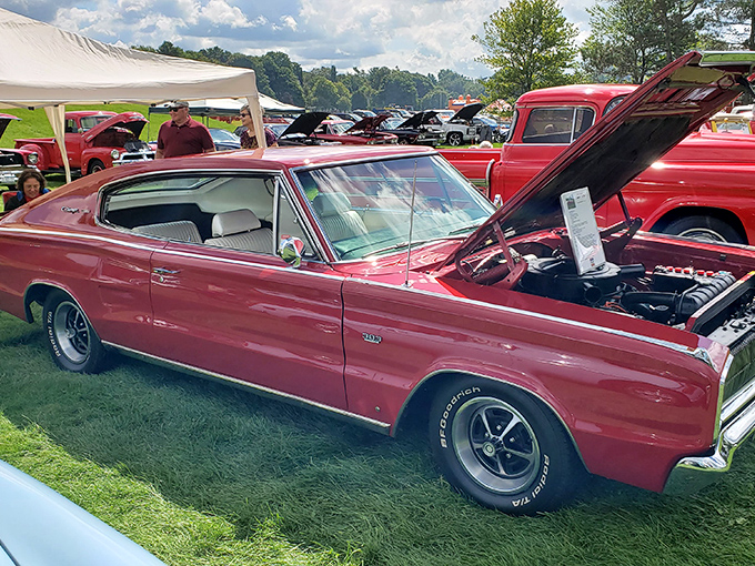 Classic car enthusiasts gather to admire this cherry-red beauty. Nothing says "midlife crisis averted" quite like a perfectly restored muscle car.