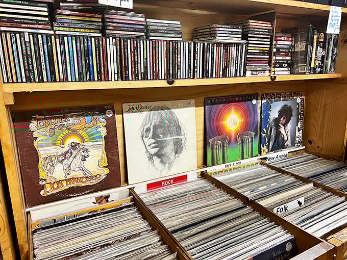 Vinyl heaven for music lovers! These albums aren't just records&mdash;they're time machines waiting to transport you back to your favorite concert.