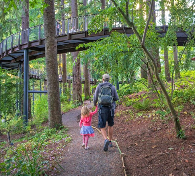 A father-daughter adventure unfolds beneath the treetop walkway &ndash; memories in the making, no batteries required.