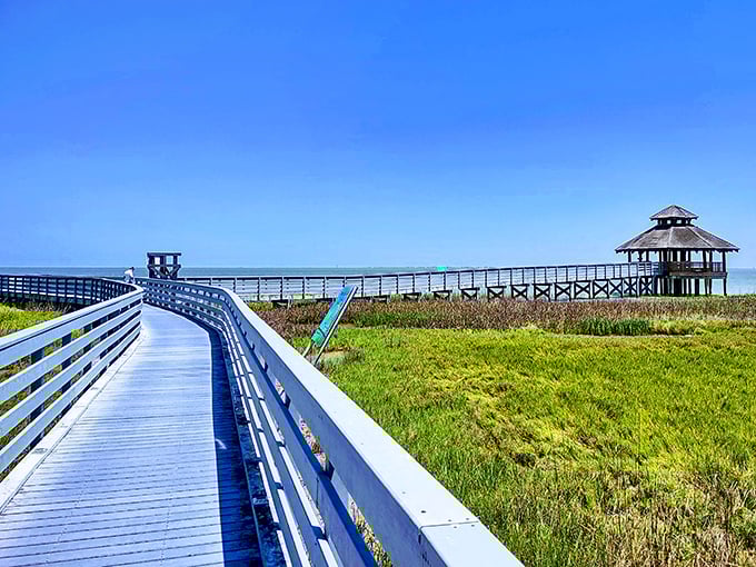 Nature's boardwalk therapy&mdash;where the only traffic is an occasional heron and your biggest decision is how slowly to stroll.