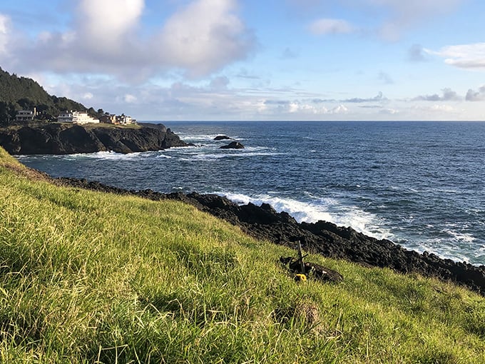 Lincoln City's dramatic coastline offers free daily shows: crashing waves and serene ocean views.