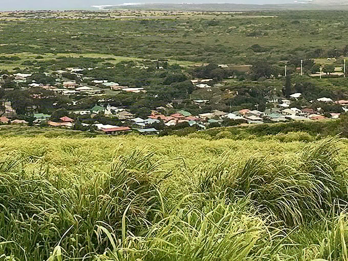 Naʻalehu's farms cascade down volcanic hillsides like a patchwork quilt. Mother Nature showing off her gardening skills!