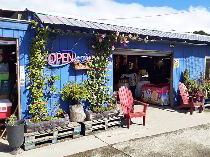 Blue building, big bargains! Smiley's charming exterior with climbing flowers offers a surprisingly pretty backdrop for serious haggling sessions.