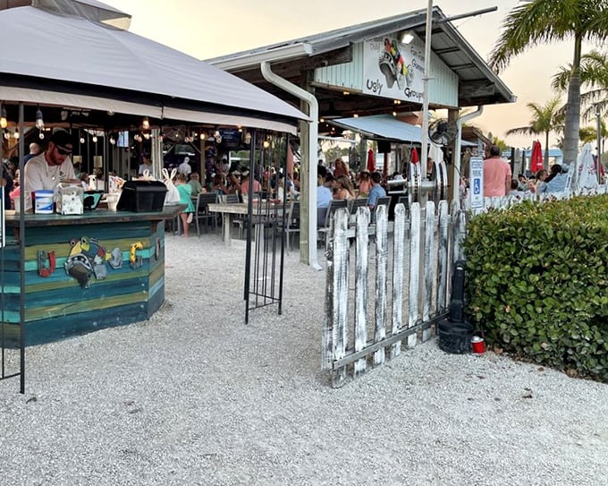 The Ugly Grouper's entrance promises a beautiful experience - proof that you should never judge a fish by its name.