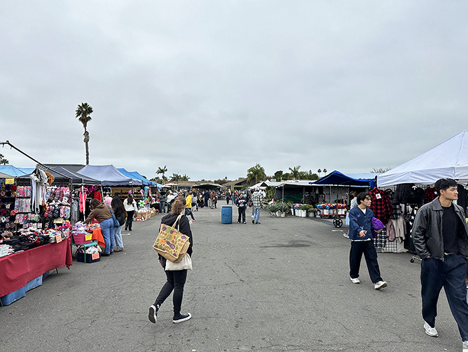 People-watching paradise! Kobey's Swap Meet draws a colorful crowd of treasure hunters and deal-makers every weekend.